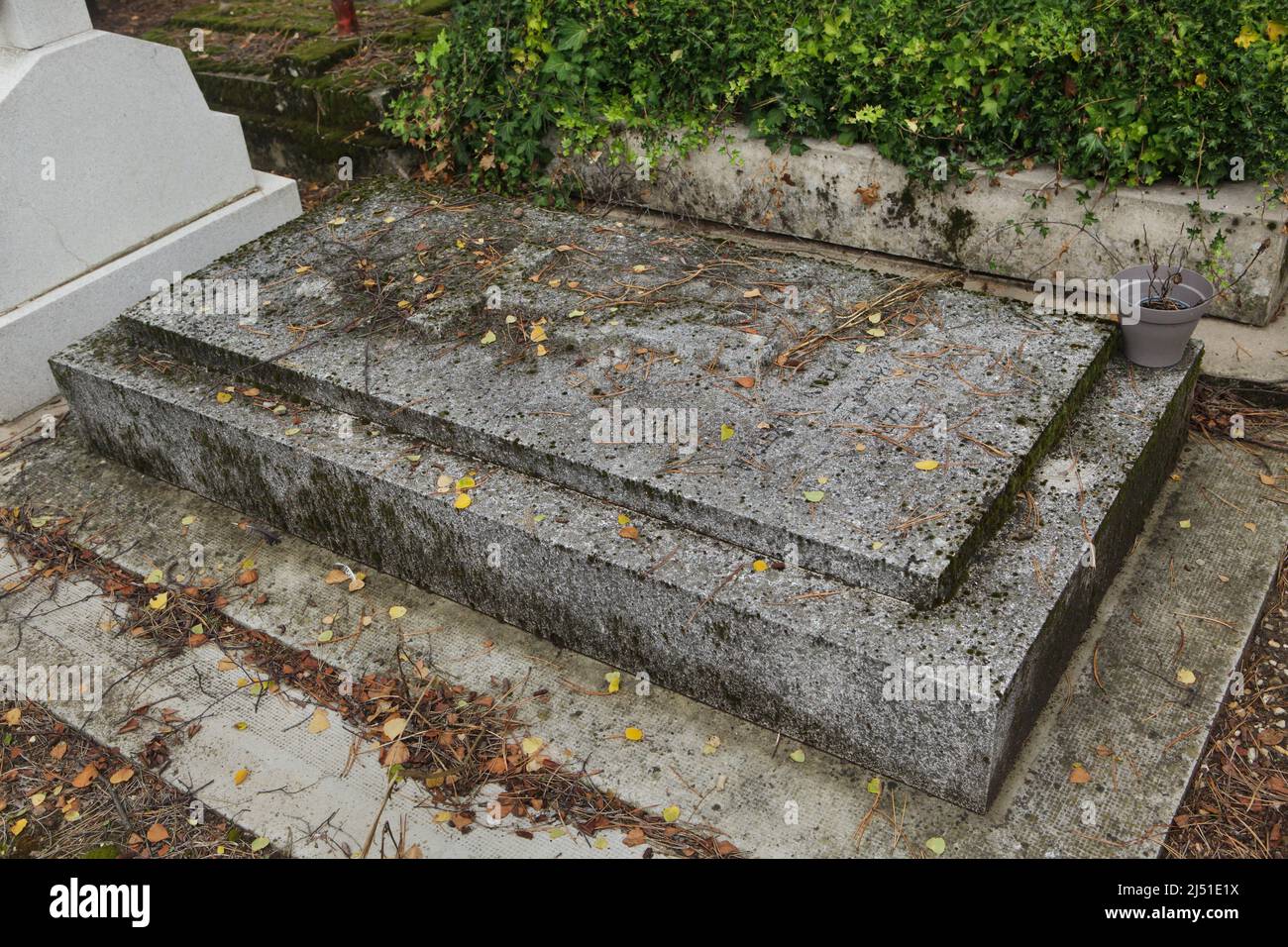 Buchinskaya hi-res stock photography and images - Alamy