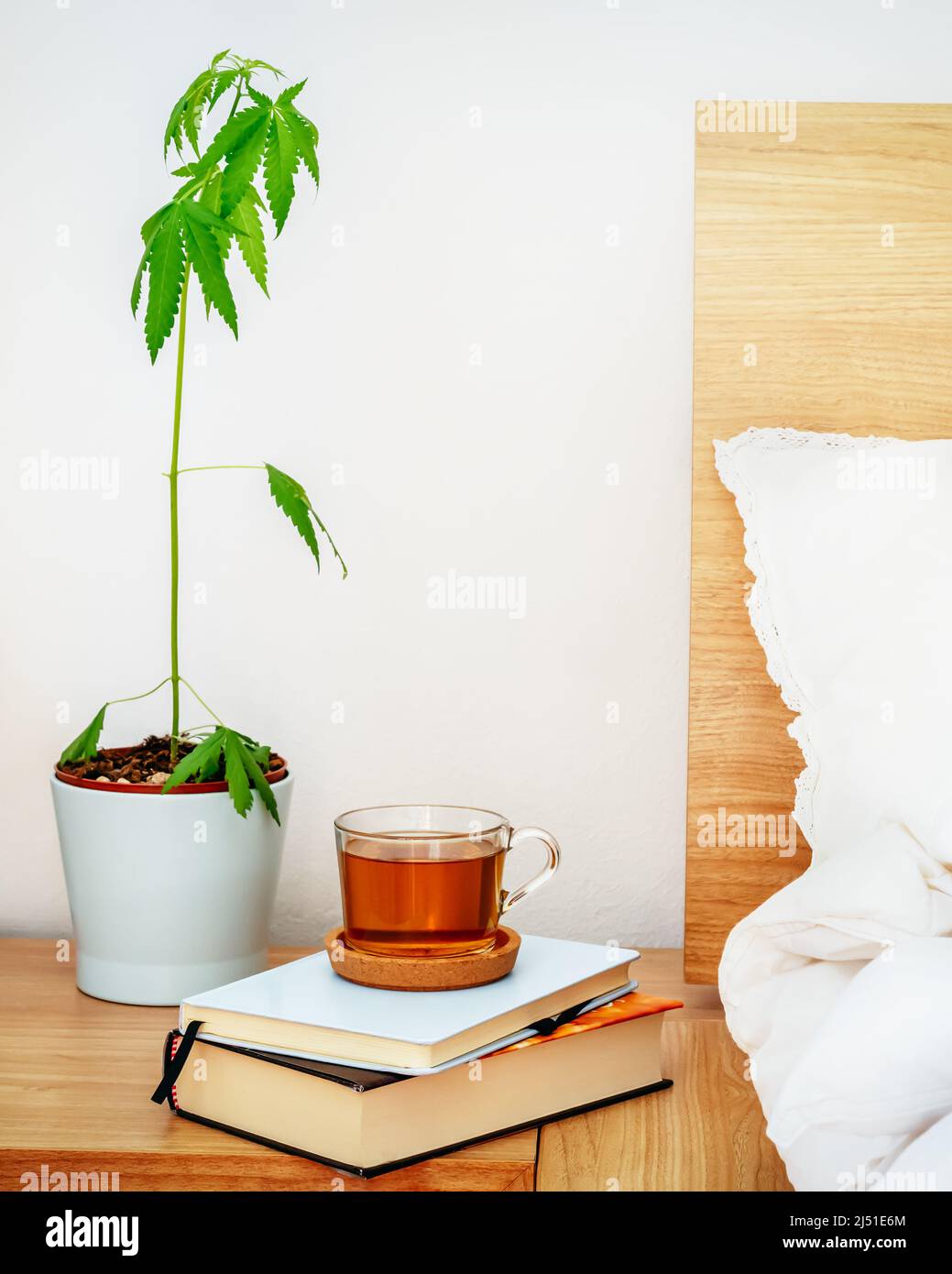 Plant and hemp tea in the bedroom Stock Photo - Alamy