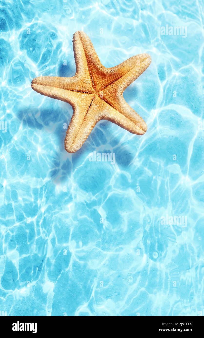 Starfish on the summer beach in sea water. Summer background. Summer ...