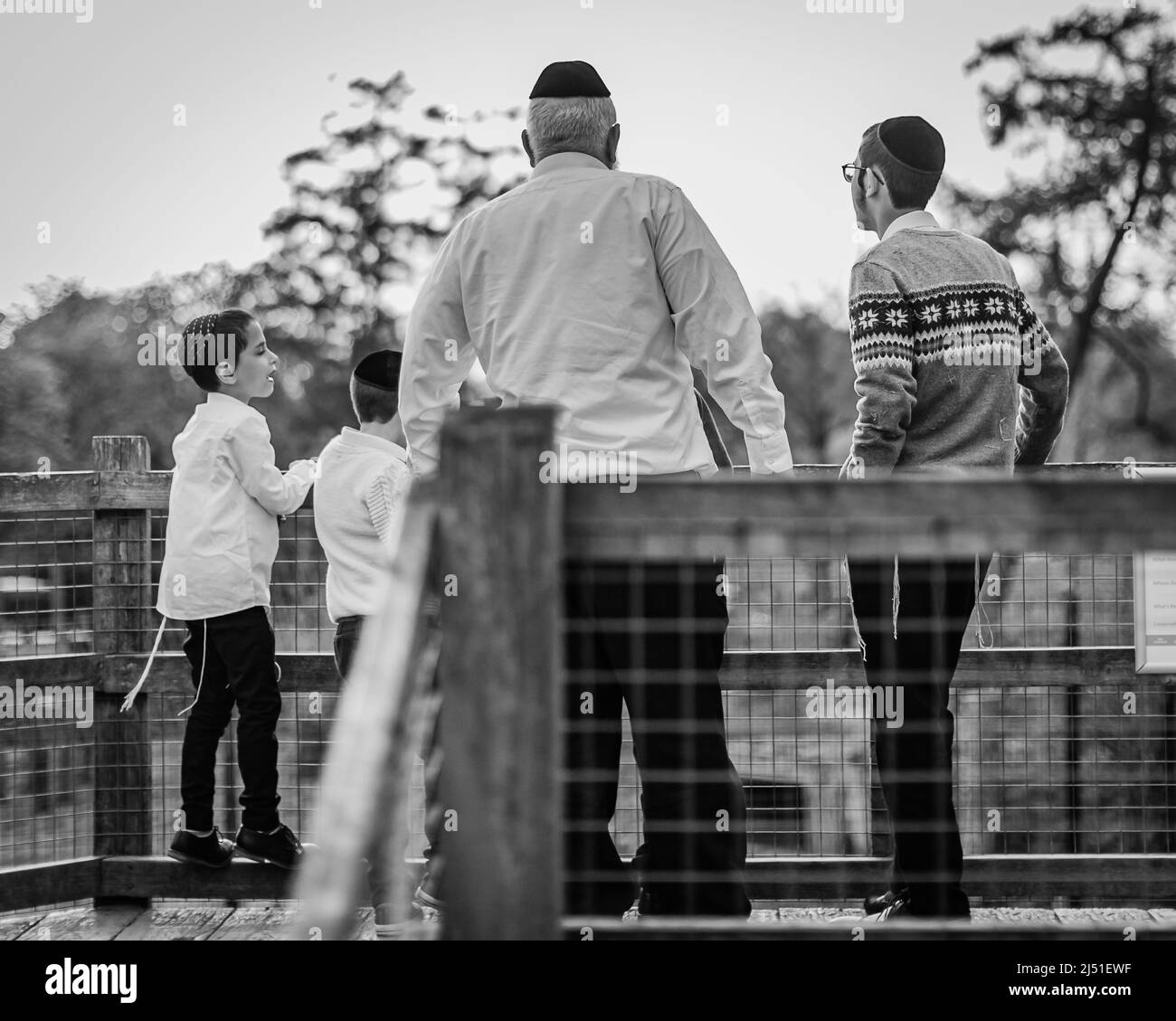 A portrait of an orthodox Jewish family enjoying a day out Stock Photo ...