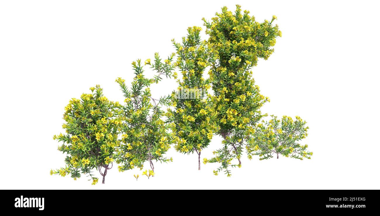 3D illustration climbing plants creepers isolated on white background ...