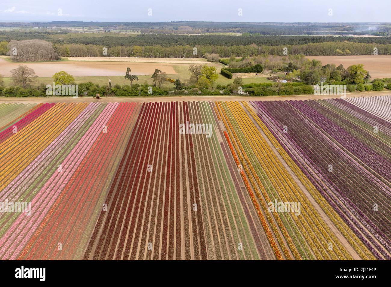 Mark eves hi-res stock photography and images - Alamy