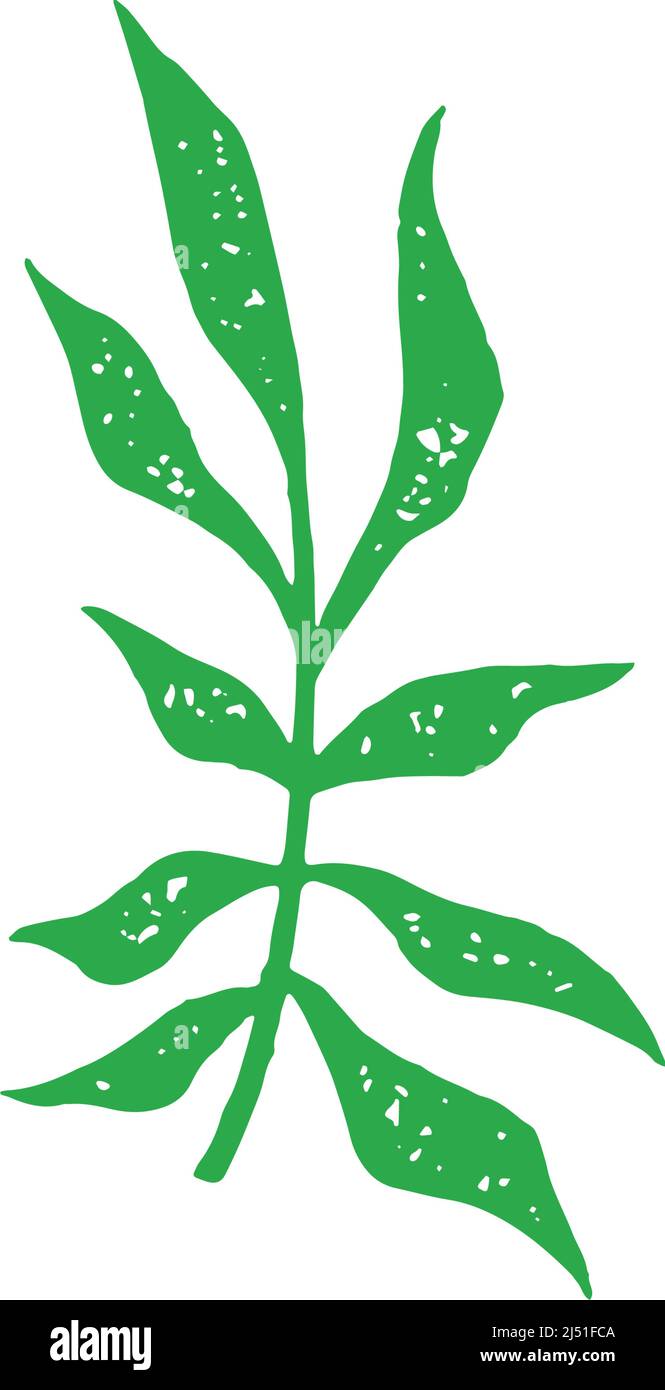 Hand drawn minimalist green natural branch with stem and leaves ...