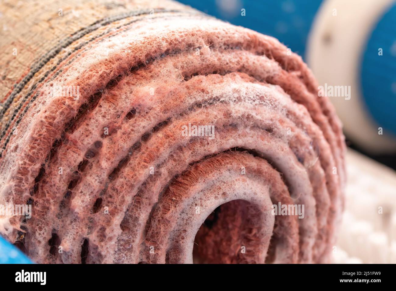 Carpet washing and cleaning. Rolled and washed carpet with foam Stock ...