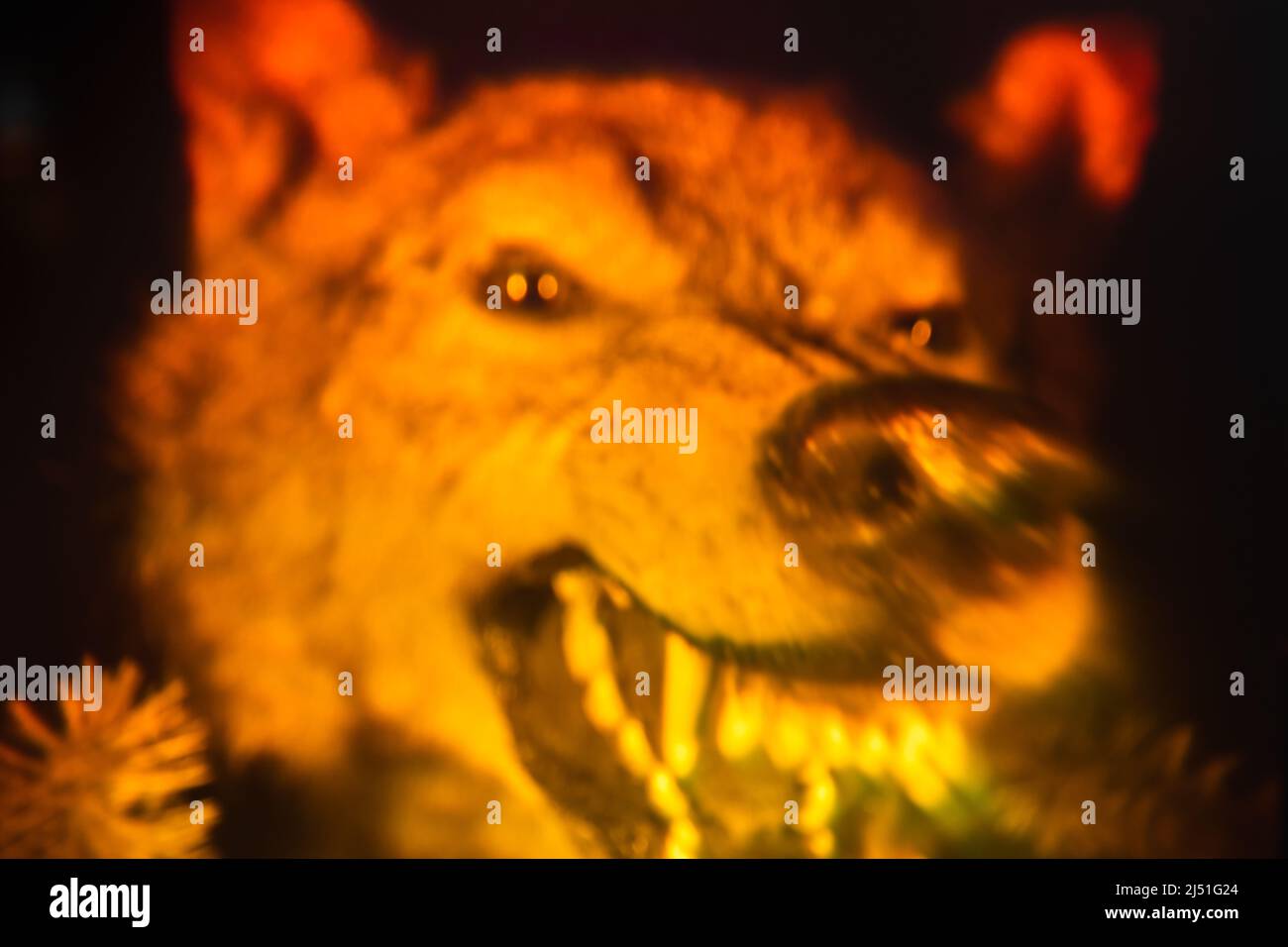 Abstract illusion art of illuminated wolf photo Stock Photo - Alamy