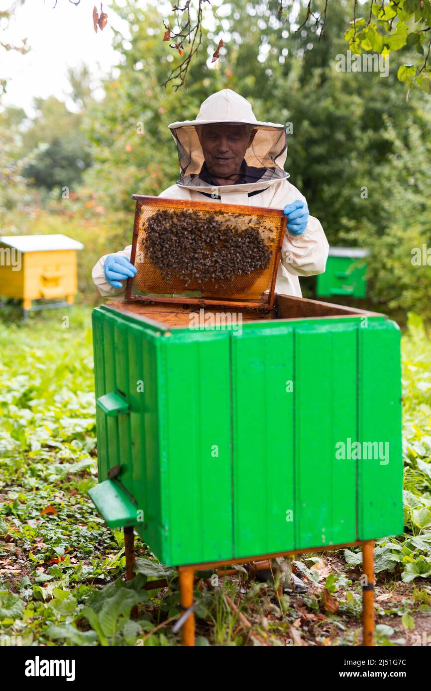 Mature insect hi-res stock photography and images - Alamy