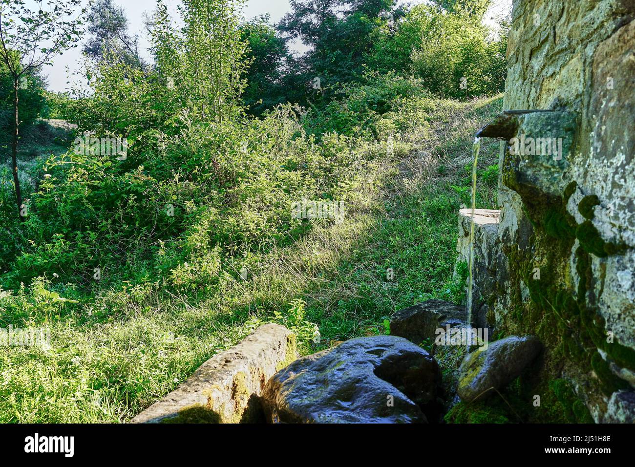 Healthy and fresh natural spring water Stock Photo - Alamy