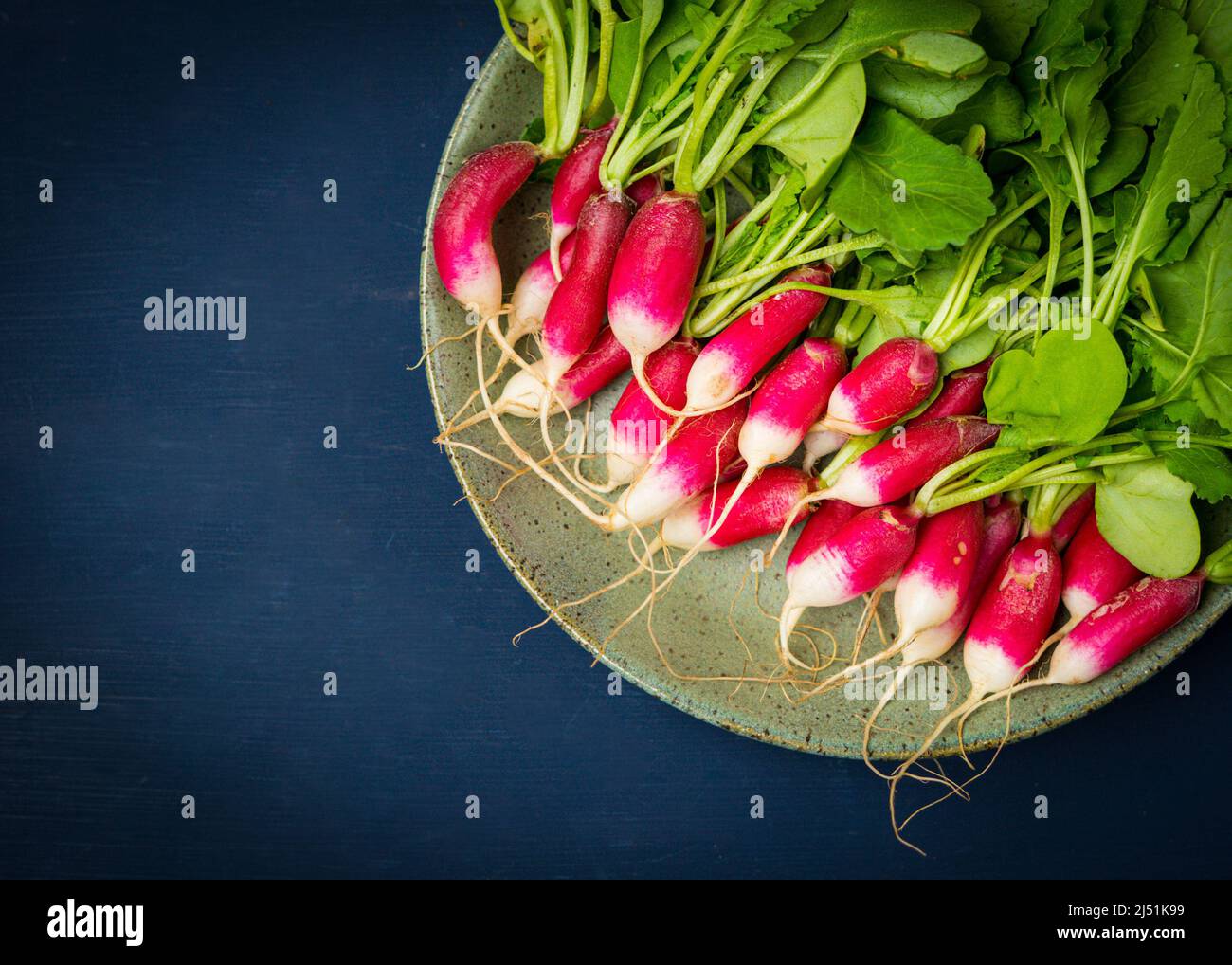 Large round radish hi-res stock photography and images - Alamy