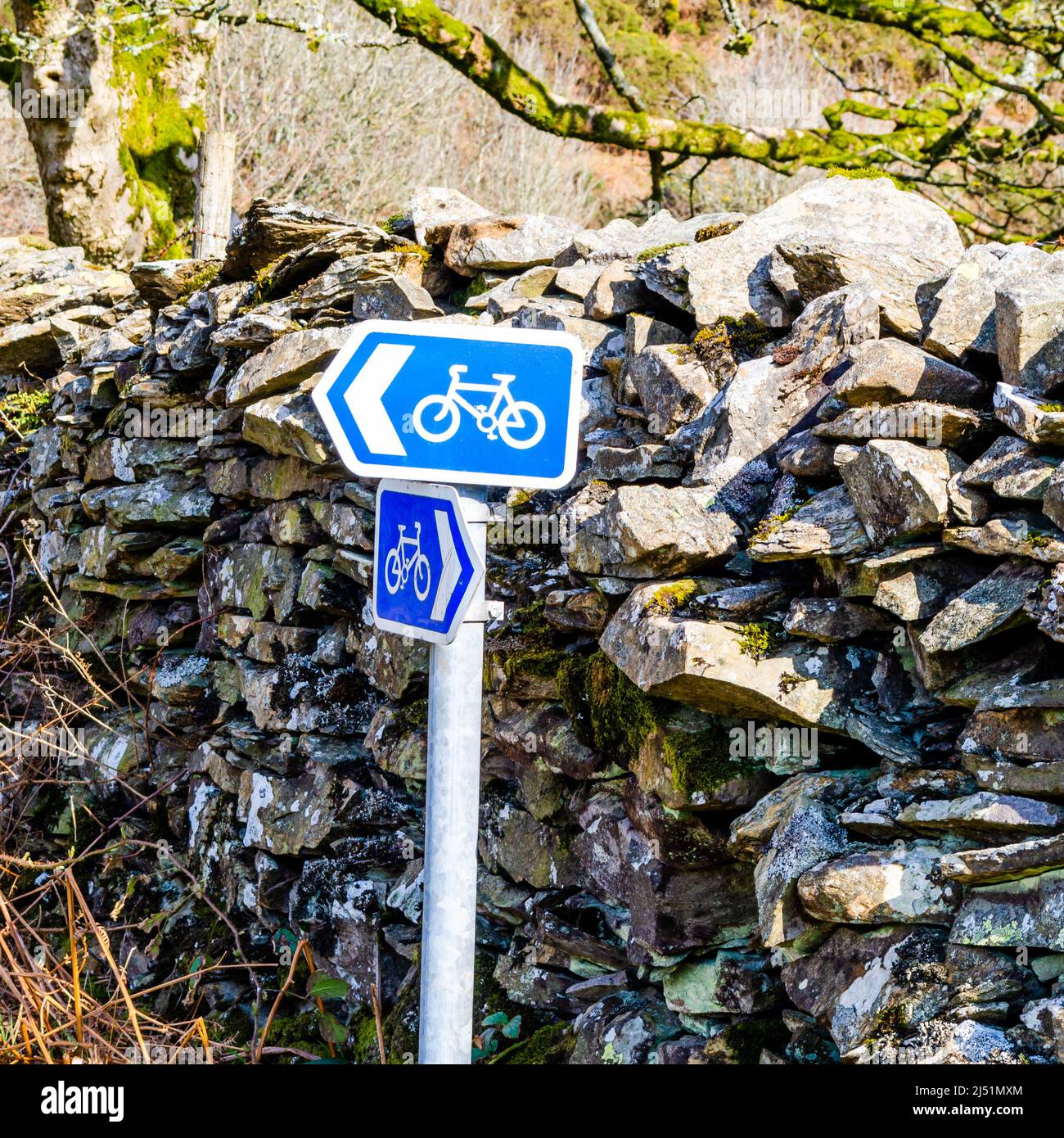 Country cycle route blue and white direction sign in front of stone ...