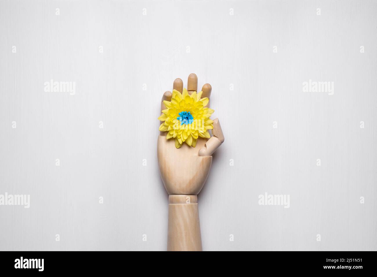 A yellow flower with a blue heart rests on a wooden hand. Colors of the ...