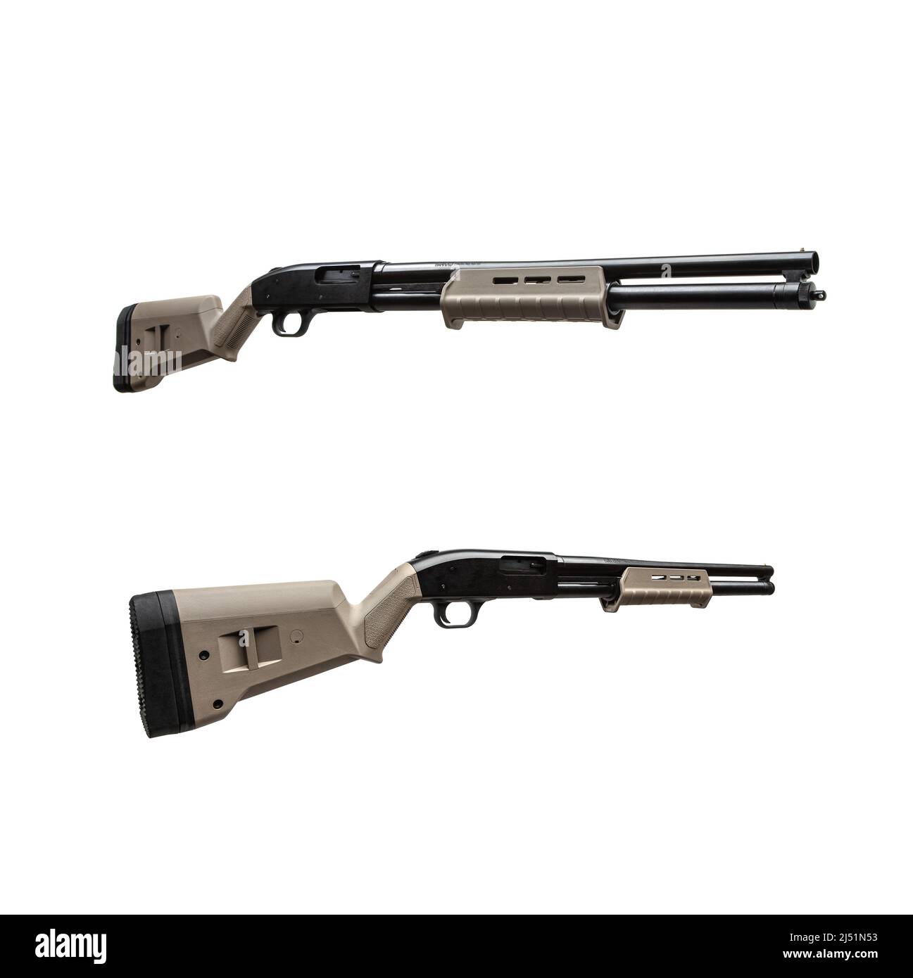 Modern pump-action shotgun with a plastic butt and fore-end isolate on ...