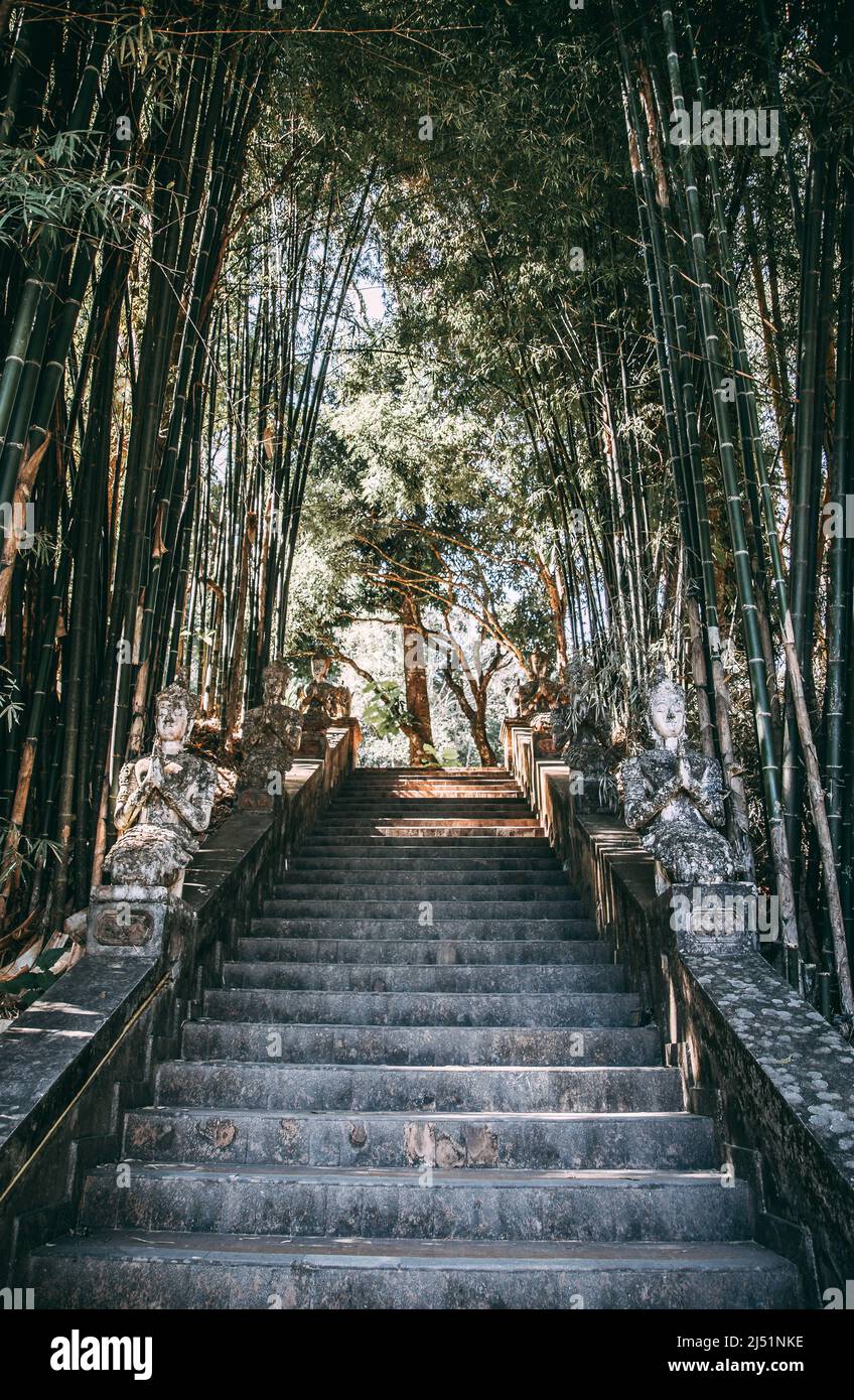 Wat Pha Lat or Wat Palad, old temple in jungle, Chiang Mai, Thailand ...