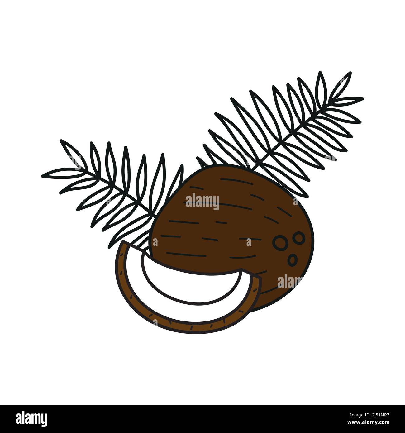 coconut isolated on white background. vector illustration of colorful ...