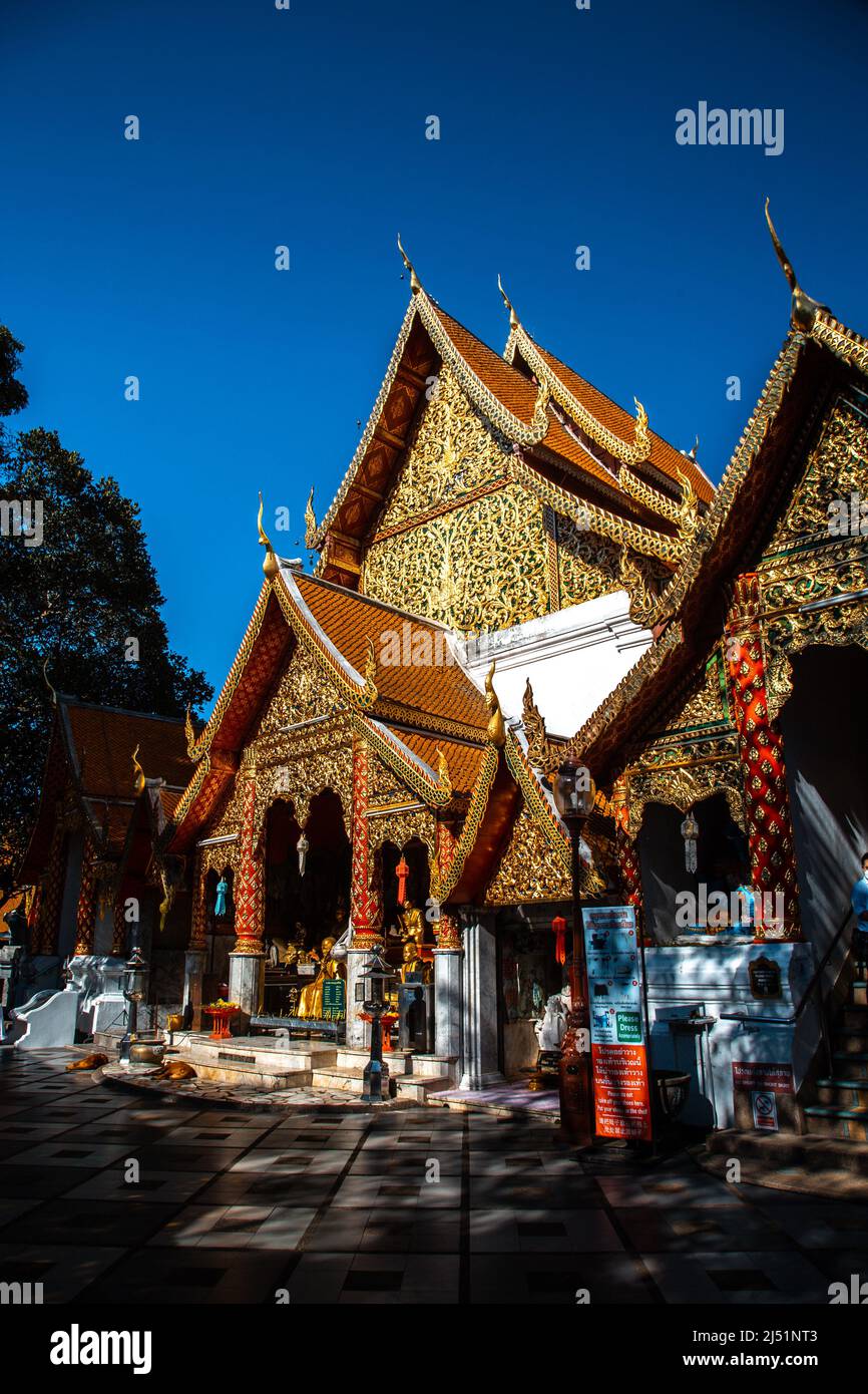 Wat Pha Lat or Wat Palad, old temple in jungle, Chiang Mai, Thailand ...
