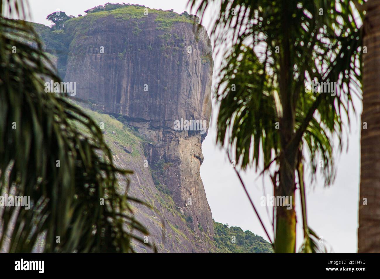 gavea stone seen from São Conrado neighborhood in Rio de Janeiro Stock ...