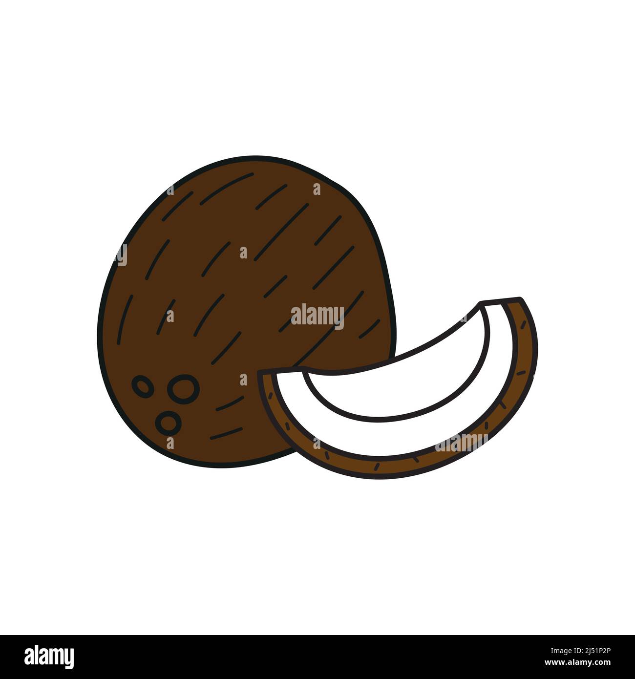 coconut isolated on white background. vector illustration of colorful ...