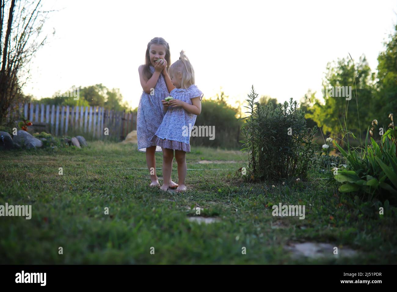 Children walk in the summer in nature. Child on a sunny spring morning ...