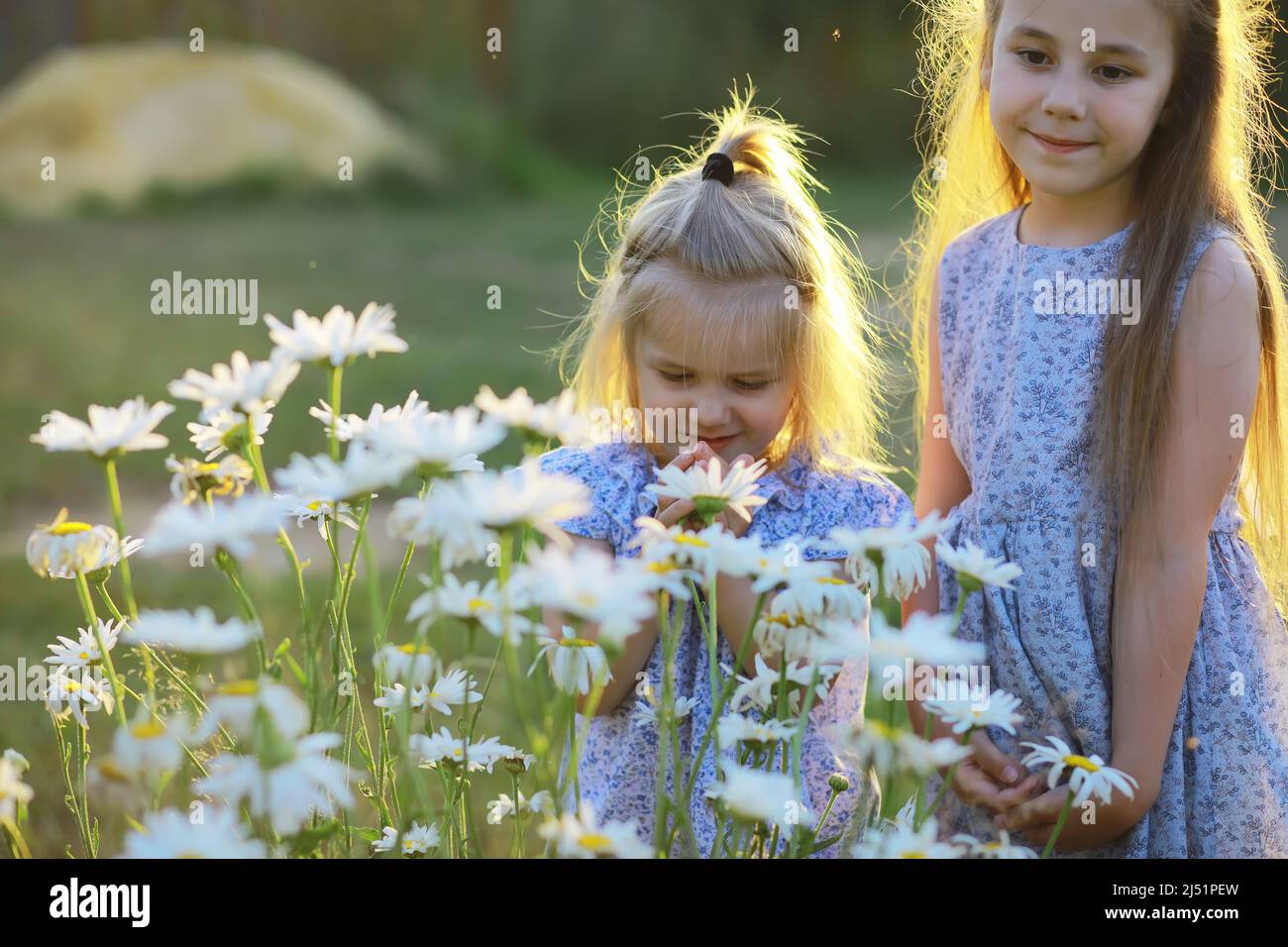 Children walk in the summer in nature. Child on a sunny spring morning ...