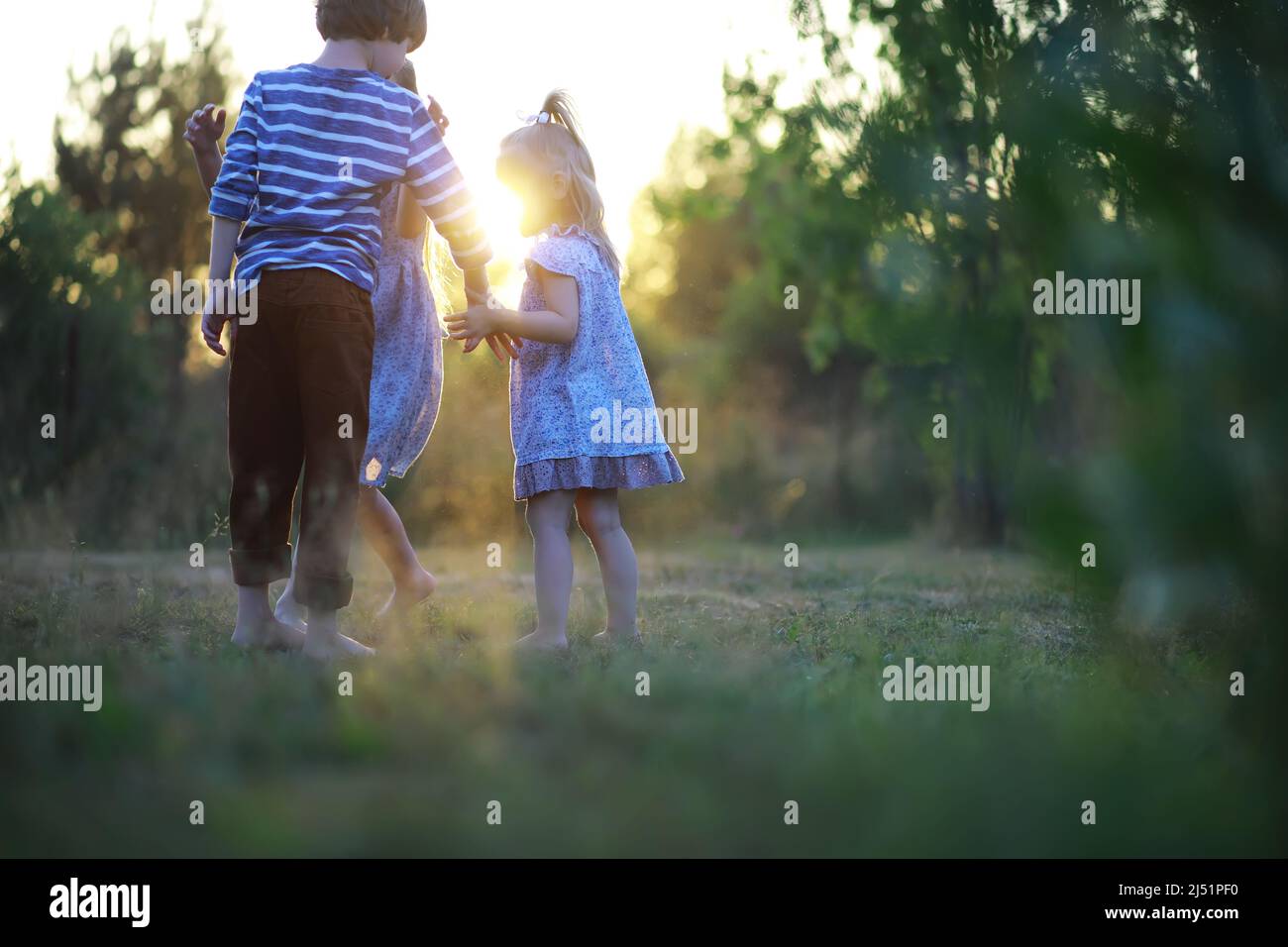 Children walk in the summer in nature. Child on a sunny spring morning ...