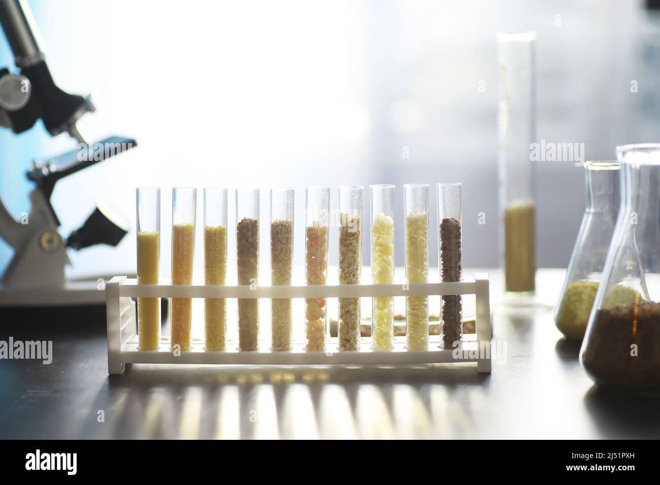 Test tubes with seeds of selection plants. Research Analyzing ...