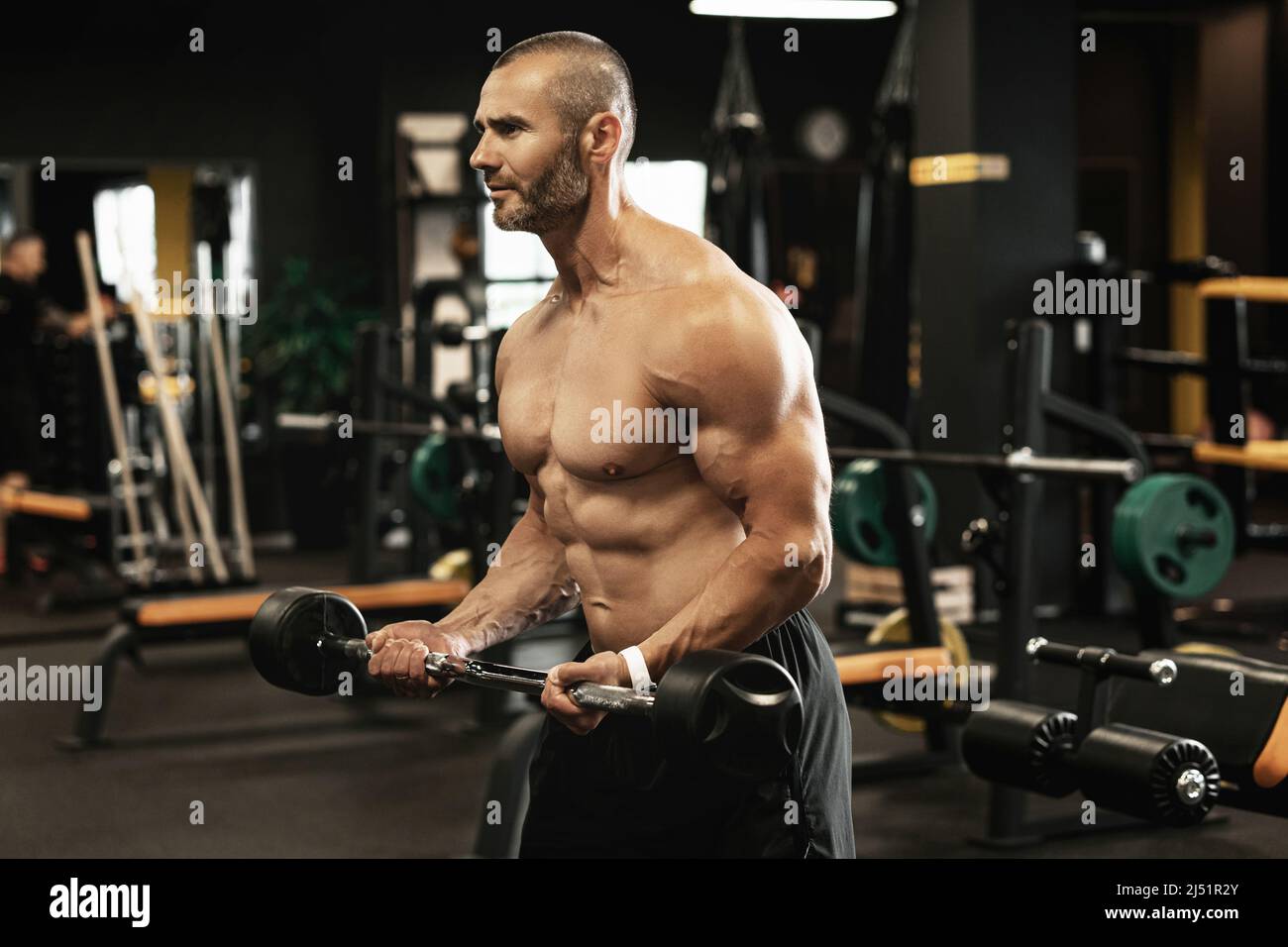 Muscular bodybuilder doing biceps curls with a barbell during his ...