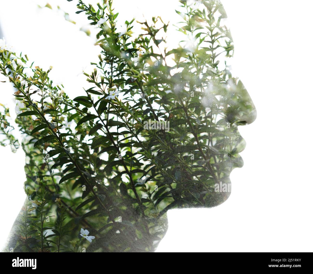 Classic double exposure portrait of a young man Stock Photo - Alamy