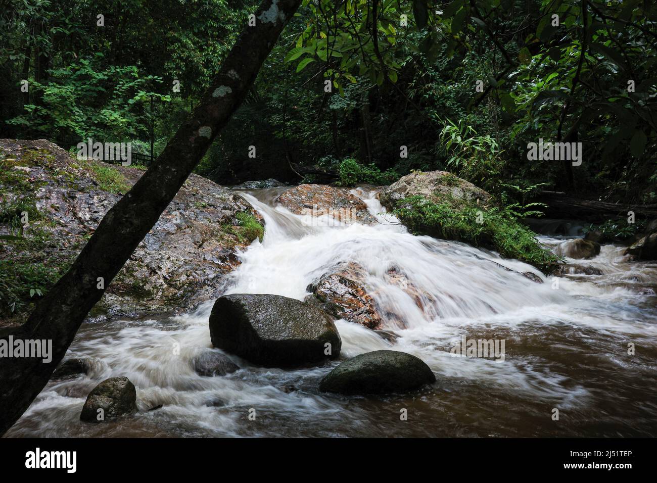 Natural scene of flowing waterfall on rocky creek covering by green ...