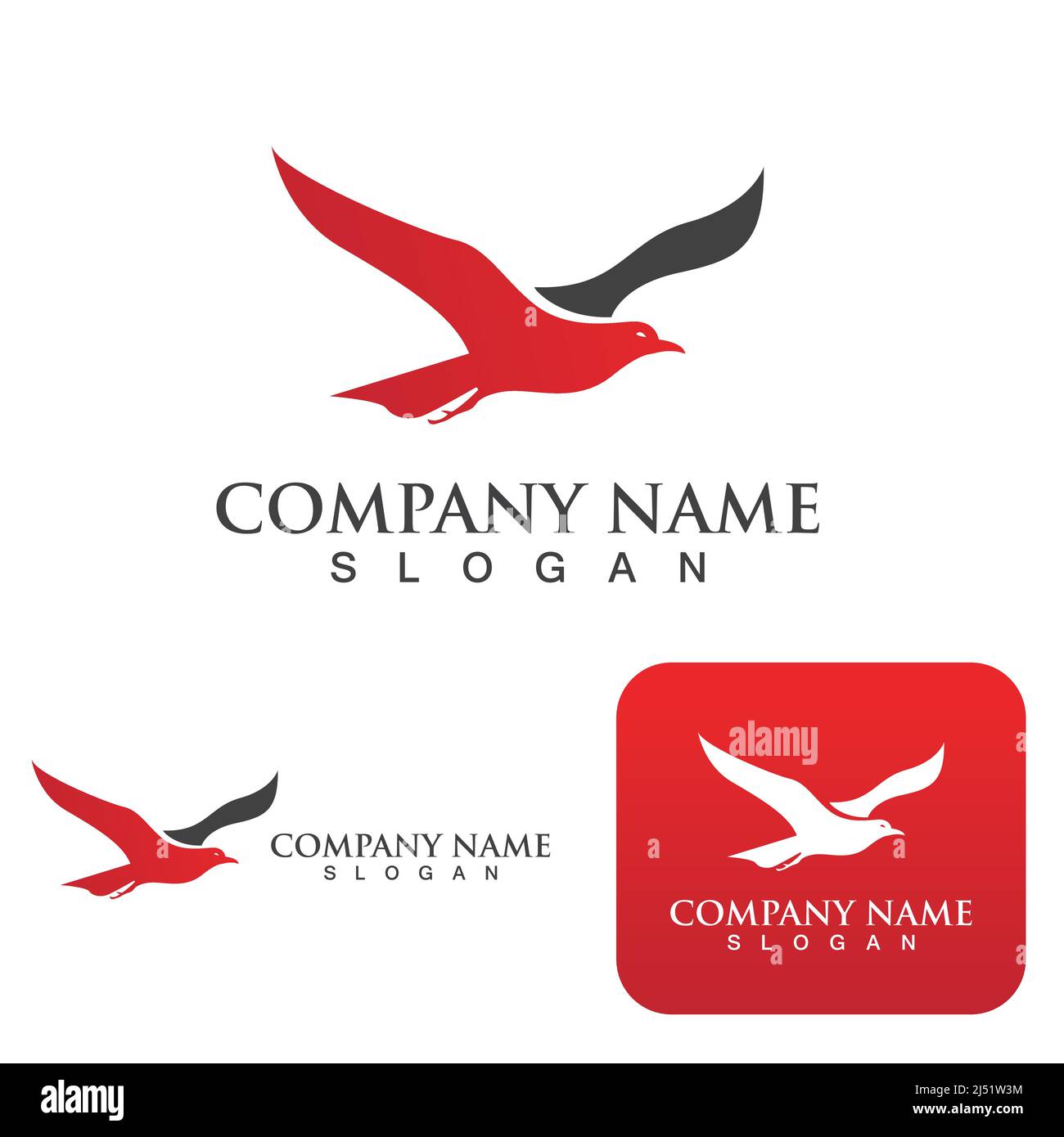 Wing bird Logo Template vector Stock Vector Image & Art - Alamy