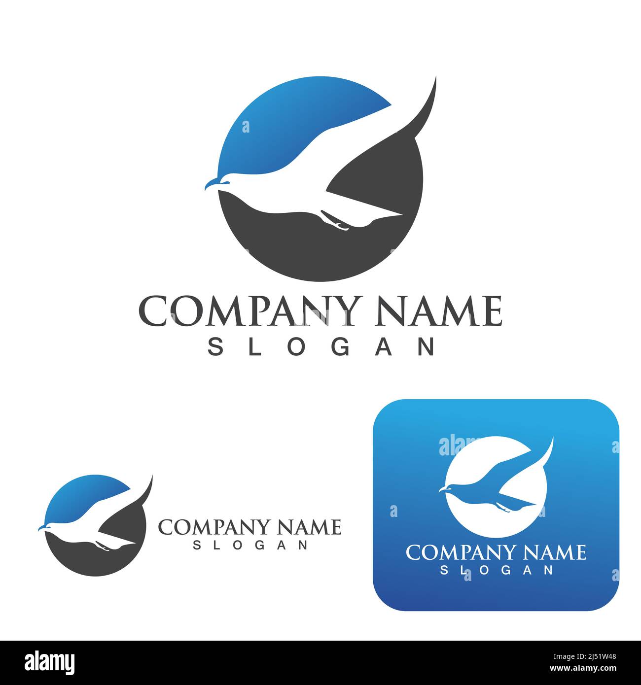 Wing bird Logo Template vector Stock Vector Image & Art - Alamy