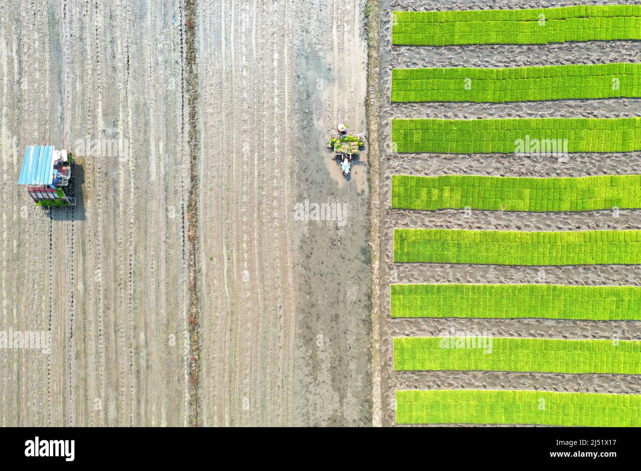 20 marks hi-res stock photography and images - Alamy