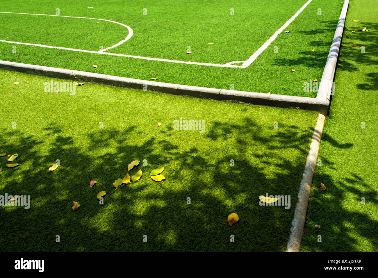 The shade of a tree beside the artificial turf football field Stock ...