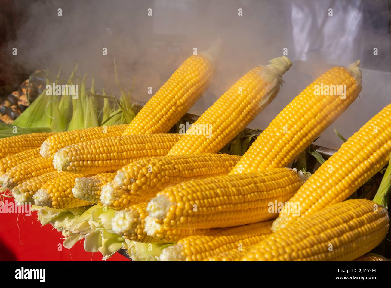 Fresh corn cobs at a street vendor stall ready to be roasted on a coal ...