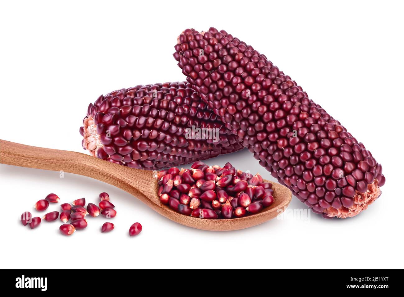 Purple corn or maize isolated on white background with clipping path ...