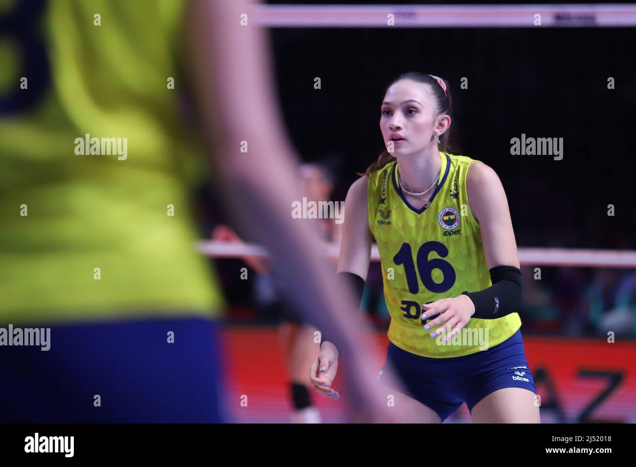 Ipar ozay kurt hi-res stock photography and images - Alamy