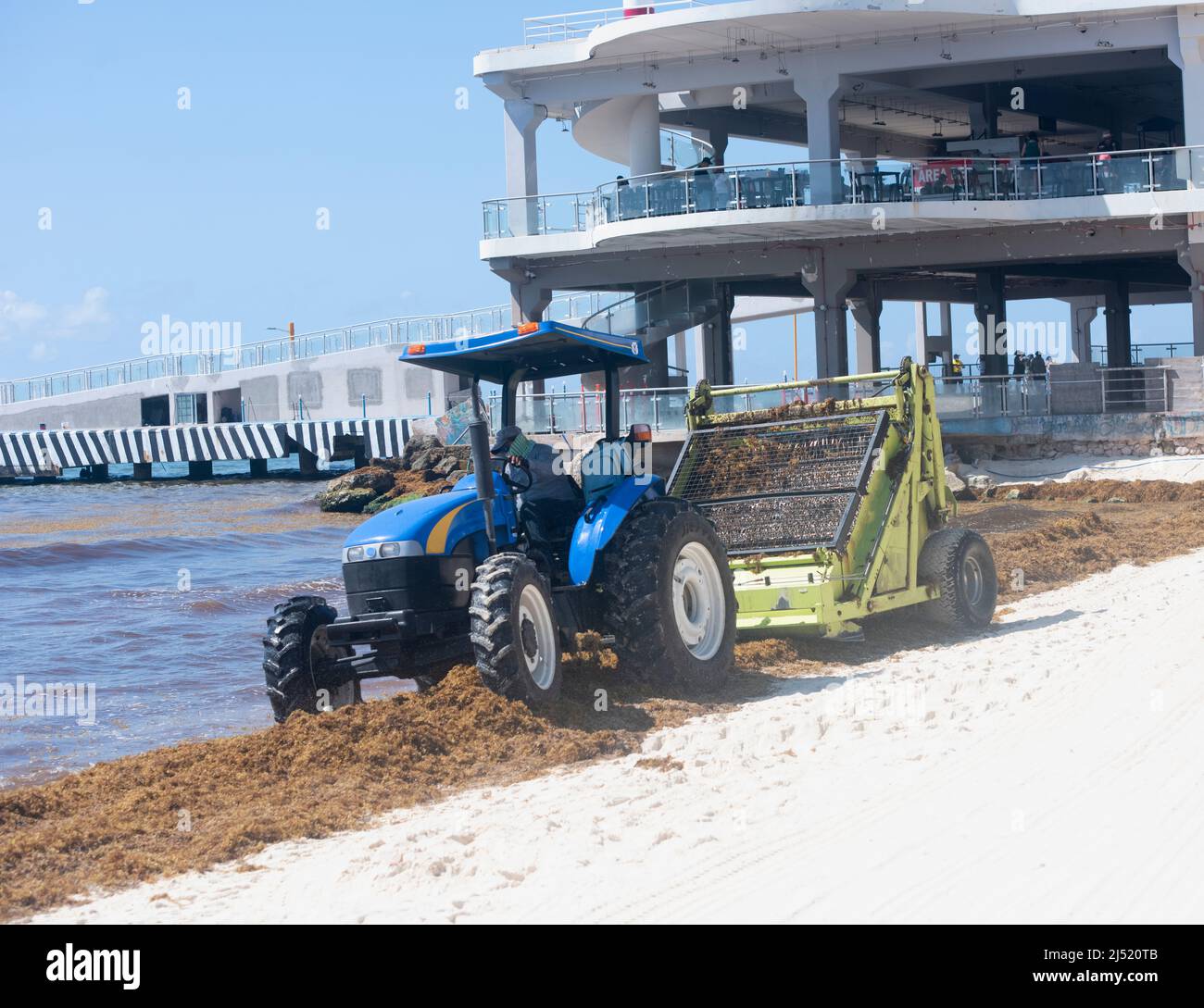 Sargassum seaweed and tractor hi-res stock photography and images - Alamy