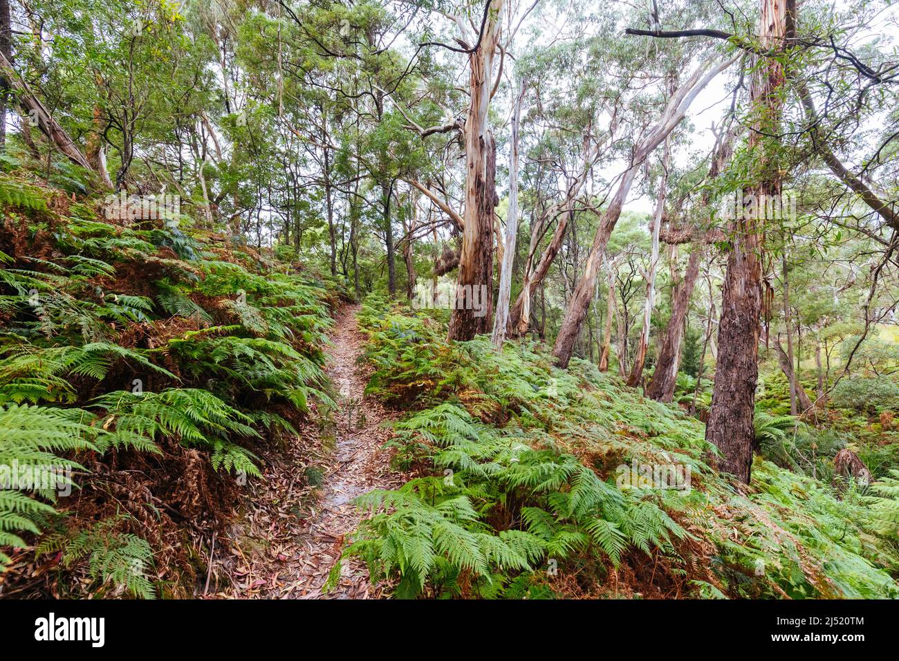 Two bays australia hi-res stock photography and images - Alamy