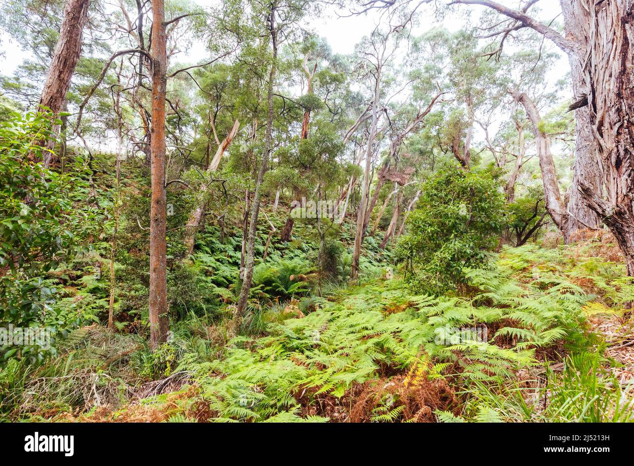 Two bays australia hi-res stock photography and images - Alamy
