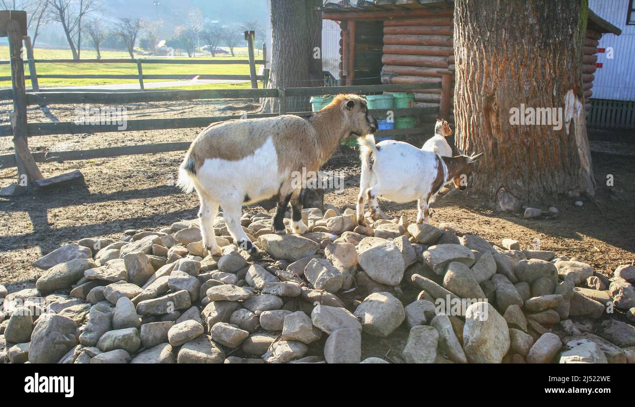 Two barrier stones hi-res stock photography and images - Alamy