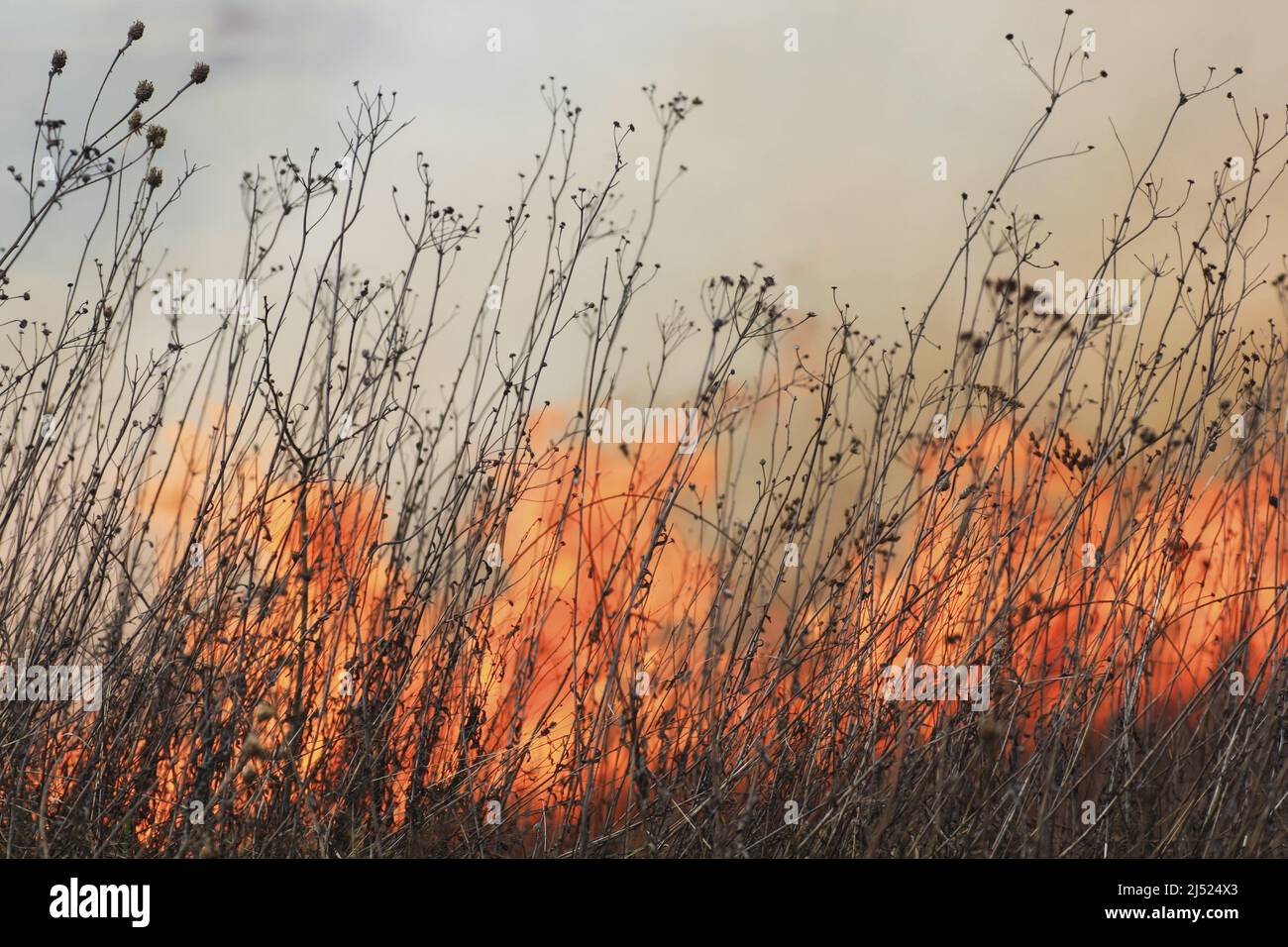 Burning meadow background. Graphic resources Stock Photo - Alamy