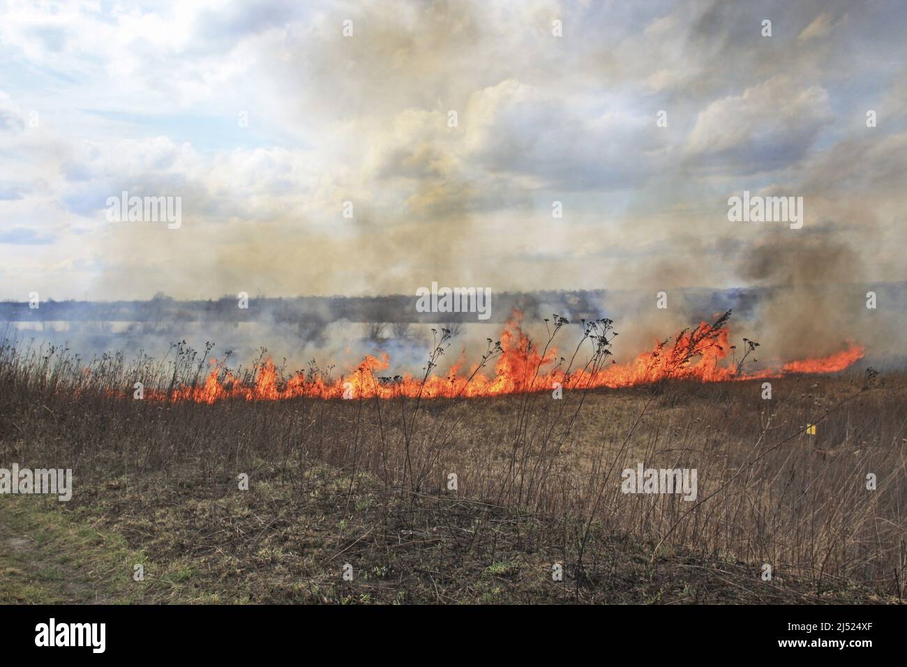 Burning meadow background. Graphic resources Stock Photo - Alamy