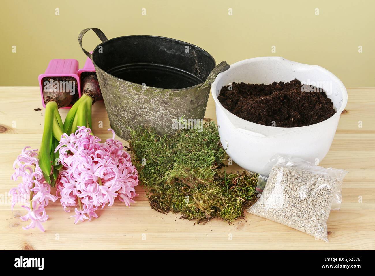 Florist at work: How to make Easter table decoration with pink hyacinth ...