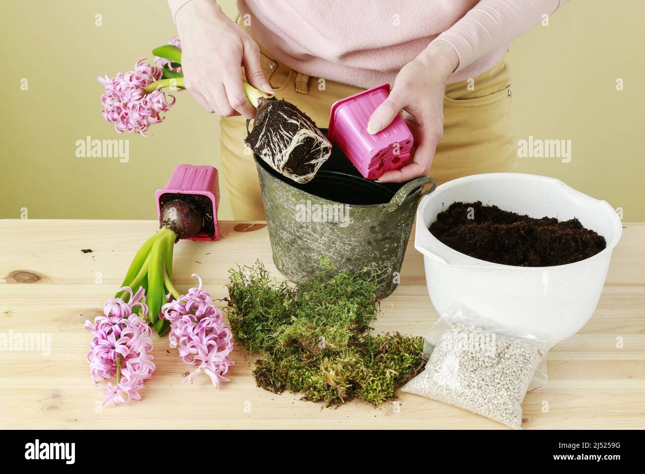 Florist at work: How to make Easter table decoration with pink hyacinth ...