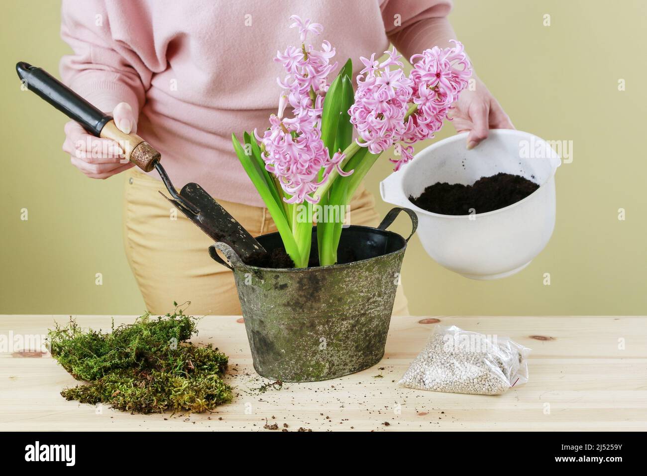 Florist at work: How to make Easter table decoration with pink hyacinth ...