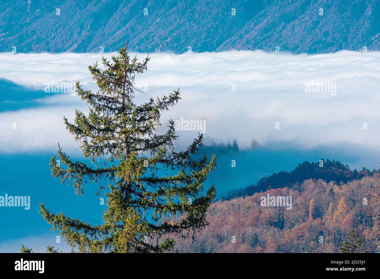 Swiss valey hi-res stock photography and images - Alamy