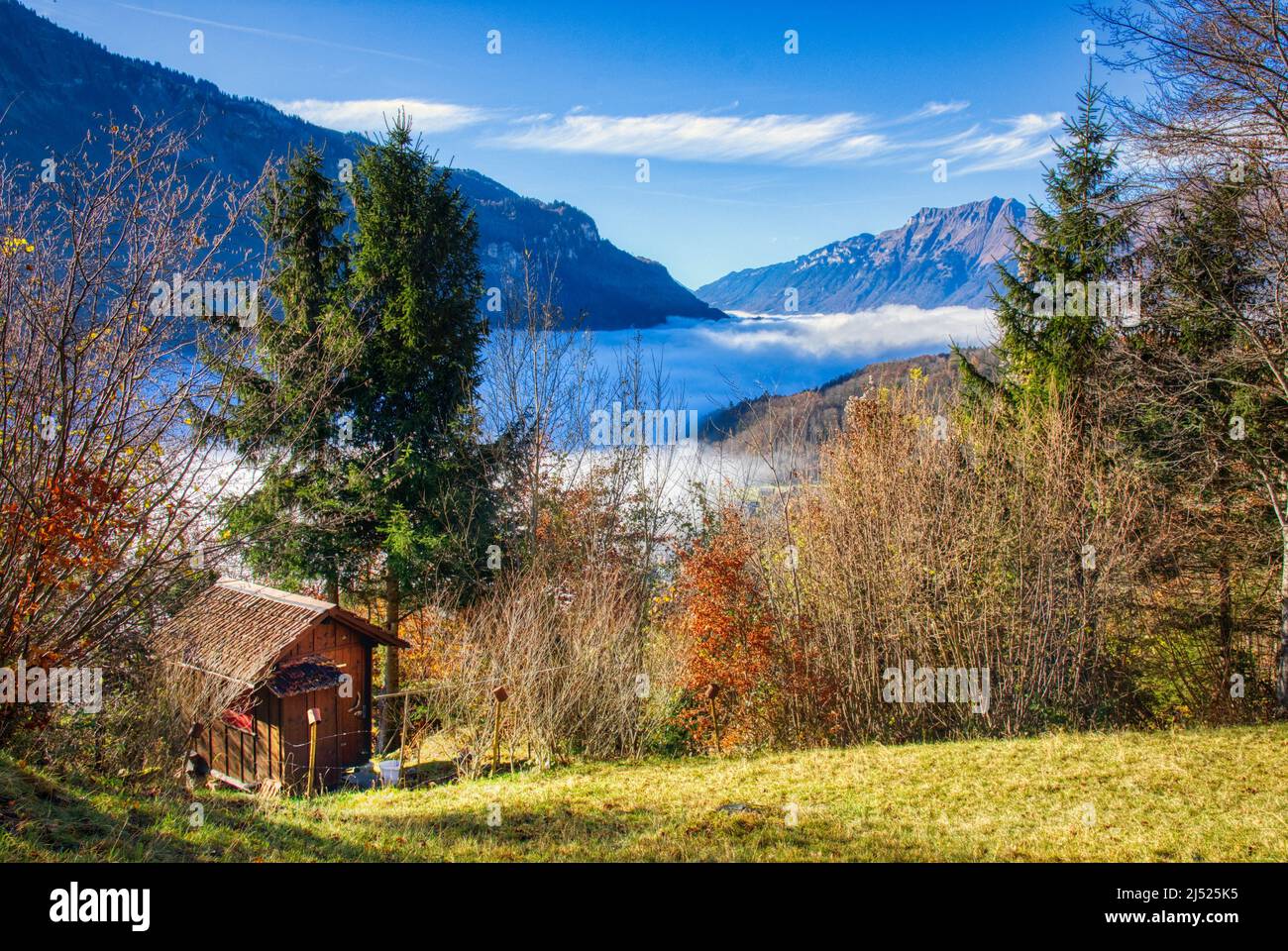 Swiss alps with the blanket of clouds in the valey Stock Photo - Alamy