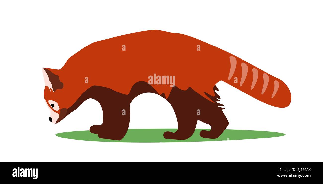 Adorable bearcat Stock Vector Images - Alamy