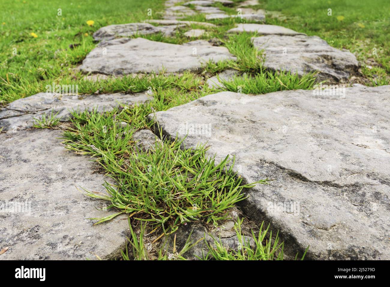 Very old stone garden path. Graphic resources Stock Photo - Alamy