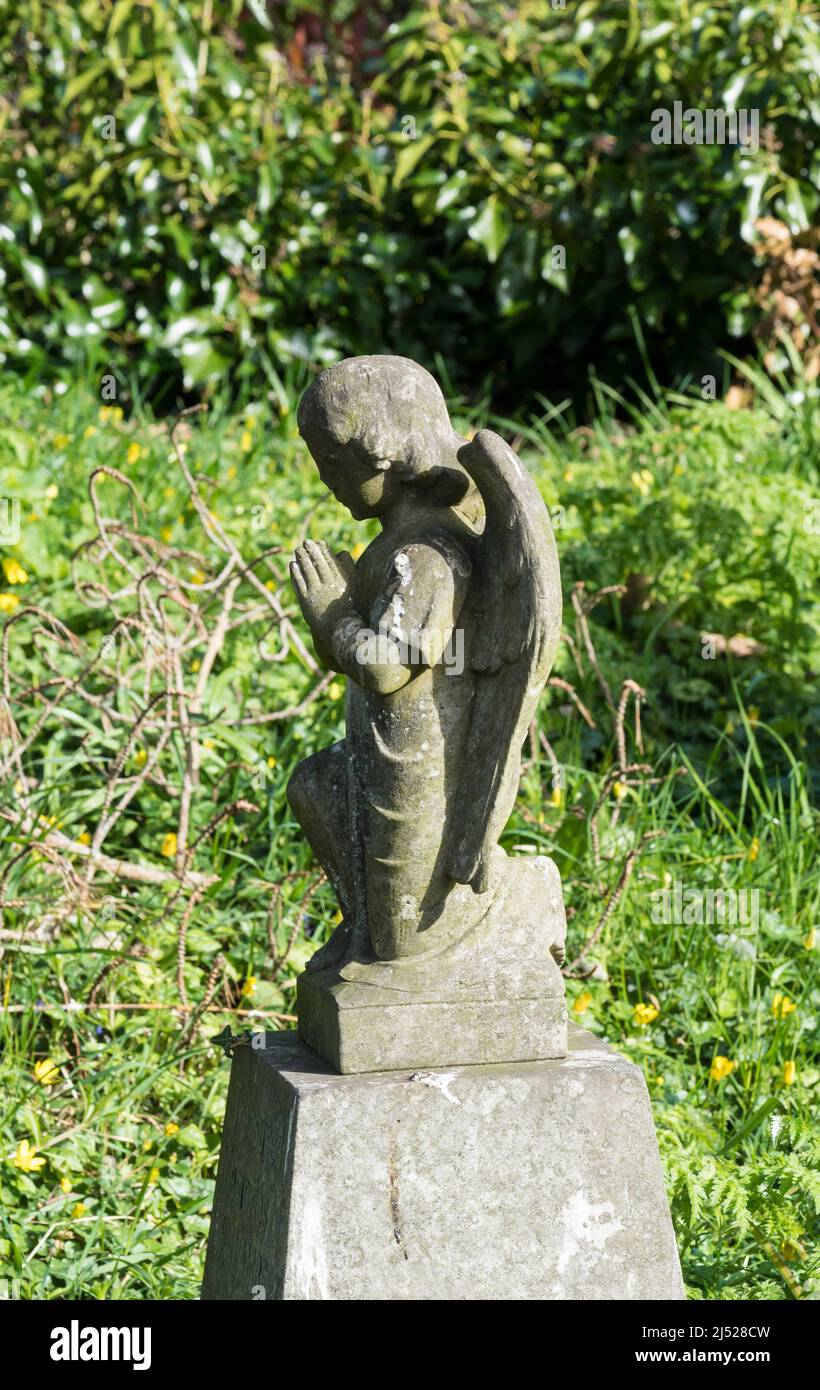 Small carved stone angel on grave stone Stock Photo - Alamy