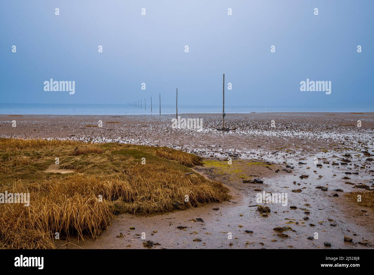 Guide posts marking the path from Holy Island to the mainland just ...