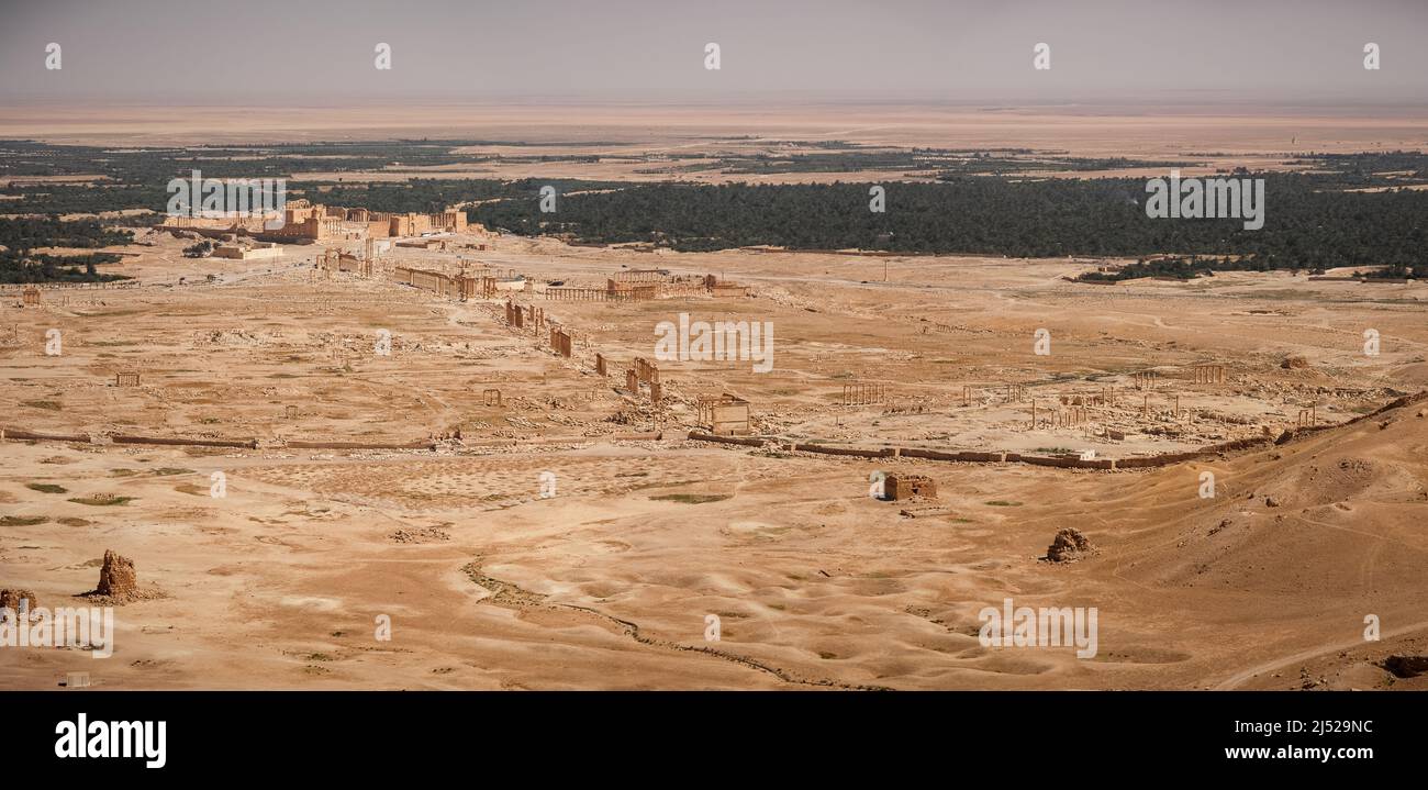 General view of Palmyra in the Syrian desert Stock Photo - Alamy